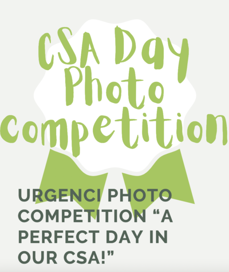 CSA Day Photo Competition: a Perfect Day in our CSA – Urgenci